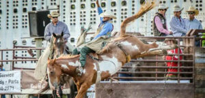 Rodeos in Montana | Destination Montana