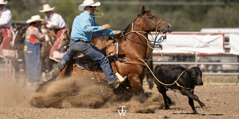 Rodeos in Montana | Destination Montana